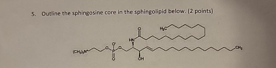 Solved Outline the sphingosine core in the sphingolipid | Chegg.com