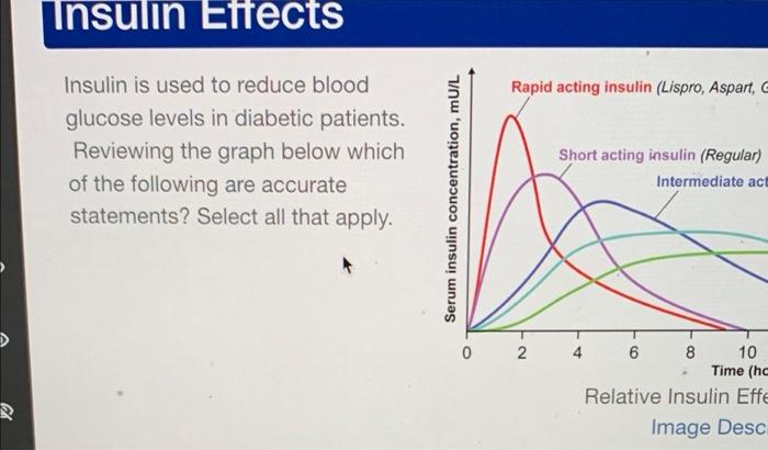 Solved Insulin Effects Rapid acting insulin (Lispro, Aspart, | Chegg.com