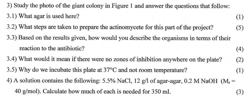 Solved 3) Study the photo of the giant colony in Figure 1 | Chegg.com