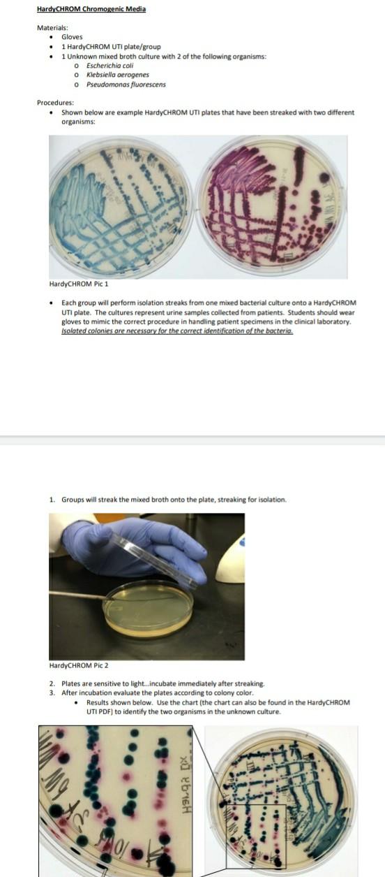 Solved PLEASE ANSWER THE QUESTION FROM THE PROCEDURES | Chegg.com