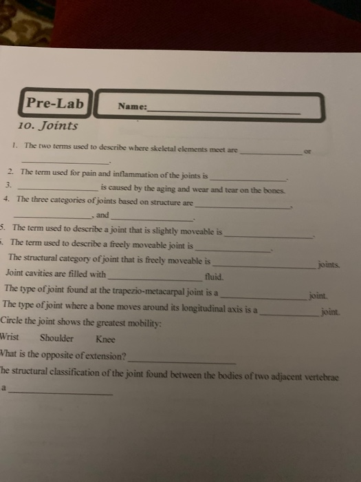 Solved 5. Identify the types of vertebrae and give a couple | Chegg.com