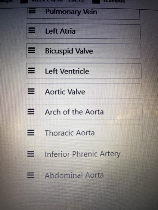 Solved 5. Put the following structures in order as a | Chegg.com