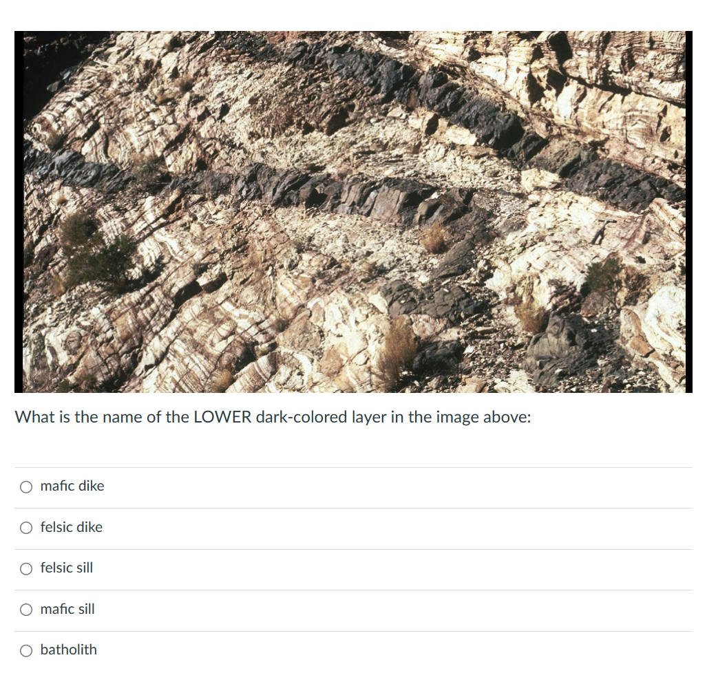 Solved What is the name of the LOWER dark-colored layer in | Chegg.com