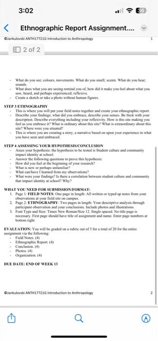 SOCIO-CULTURAL ANTHROPOLOGY ASSIGNMENT: ETHNOGRAPHIC | Chegg.com