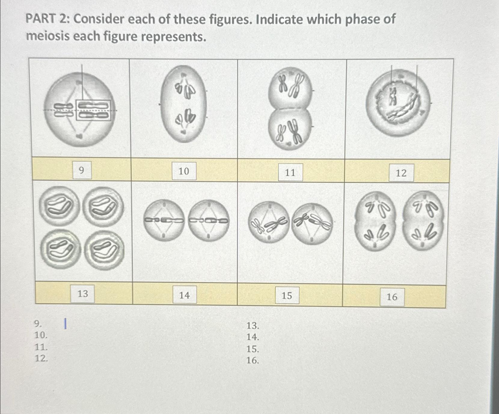 Solved PART 2: Consider each of these figures. Indicate | Chegg.com