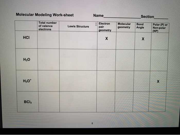 Solved Molecular Modeling Work-sheet Name Section Total | Chegg.com