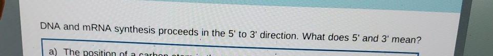 Solved DNA and mRNA synthesis proceeds in the 5' ﻿to 3' | Chegg.com