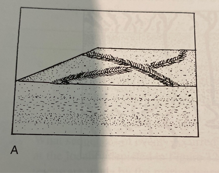 Solved 2. What sequences of events occurred on the ocean | Chegg.com