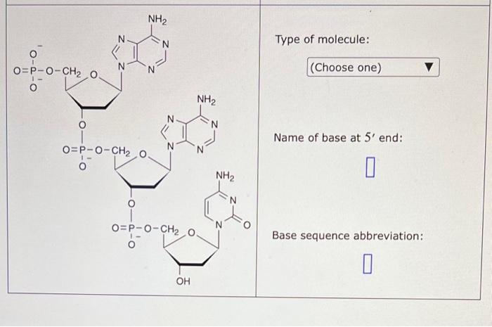 Solved For each molecule in the table below: - Classify the | Chegg.com