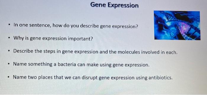 Solved Gene Expression - In one sentence, how do you | Chegg.com