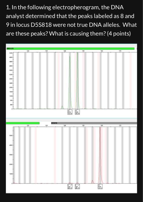 1. In the following electropherogram, the DNA analyst | Chegg.com