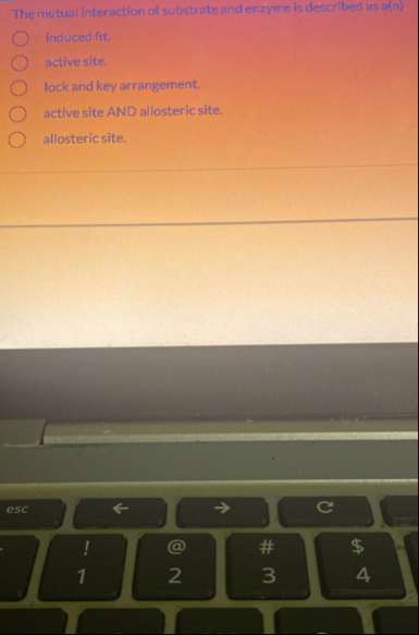 Solved The mutual interaction of substrate and enzyme is | Chegg.com