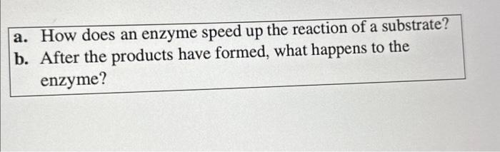 Solved a. How does an enzyme speed up the reaction of a | Chegg.com