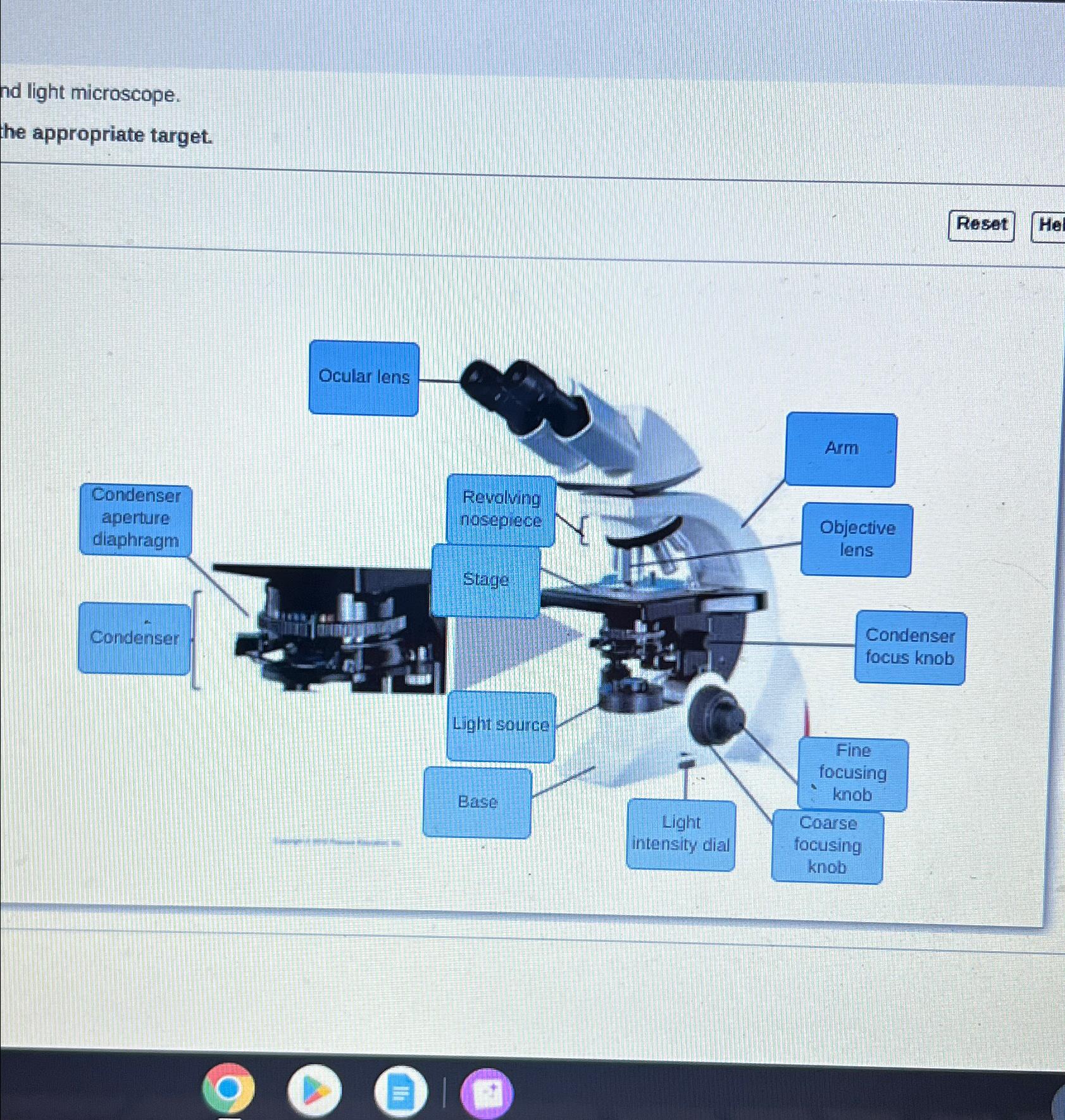 Solved hd light microscope.the appropriate target.Reset | Chegg.com