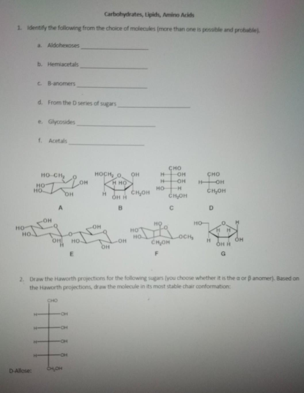 Solved Carbohydrates, Lipids, Amino Acids 1 Identify the | Chegg.com