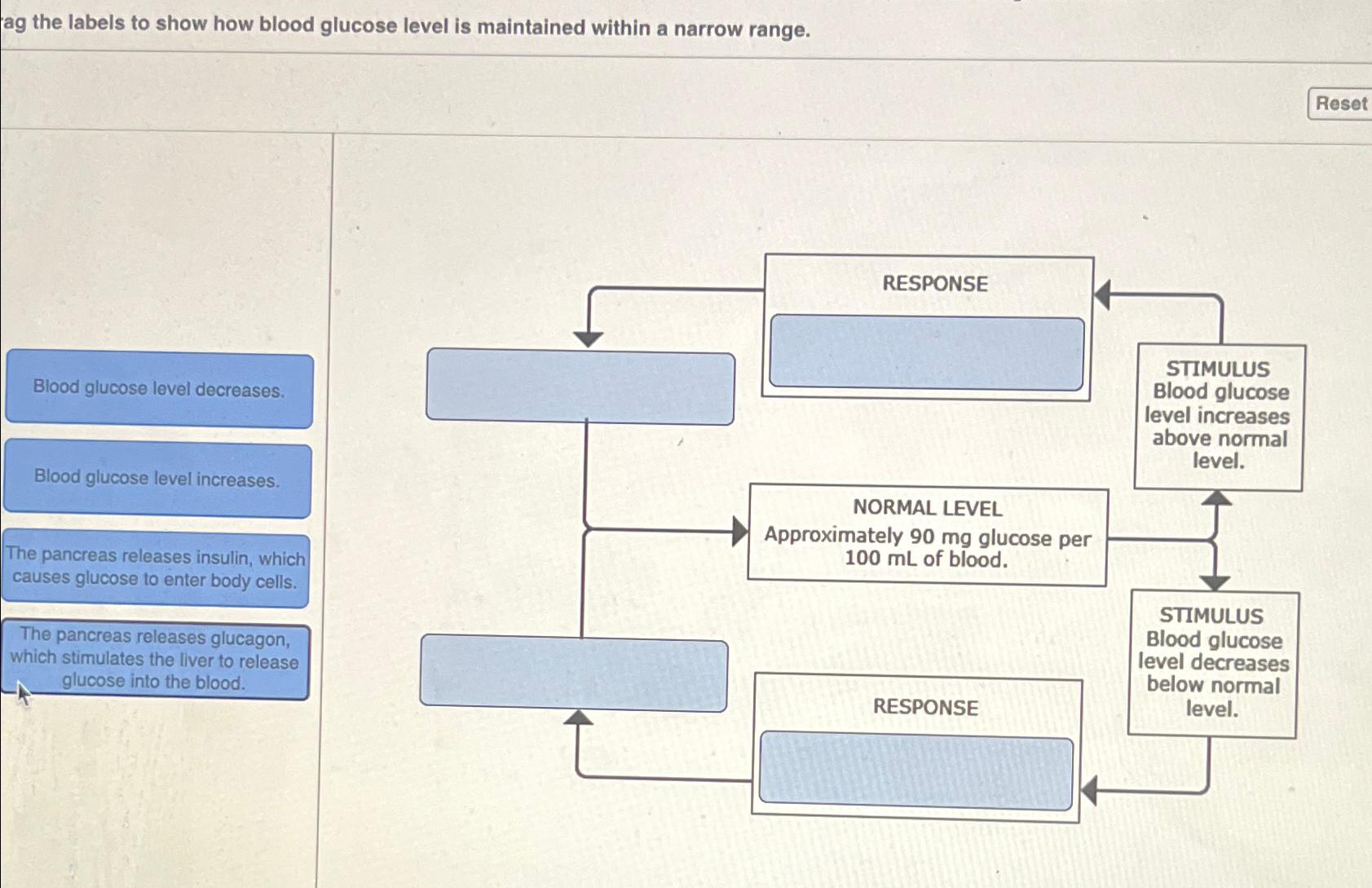 Solved Drag the labels to show how blood glucose level is | Chegg.com