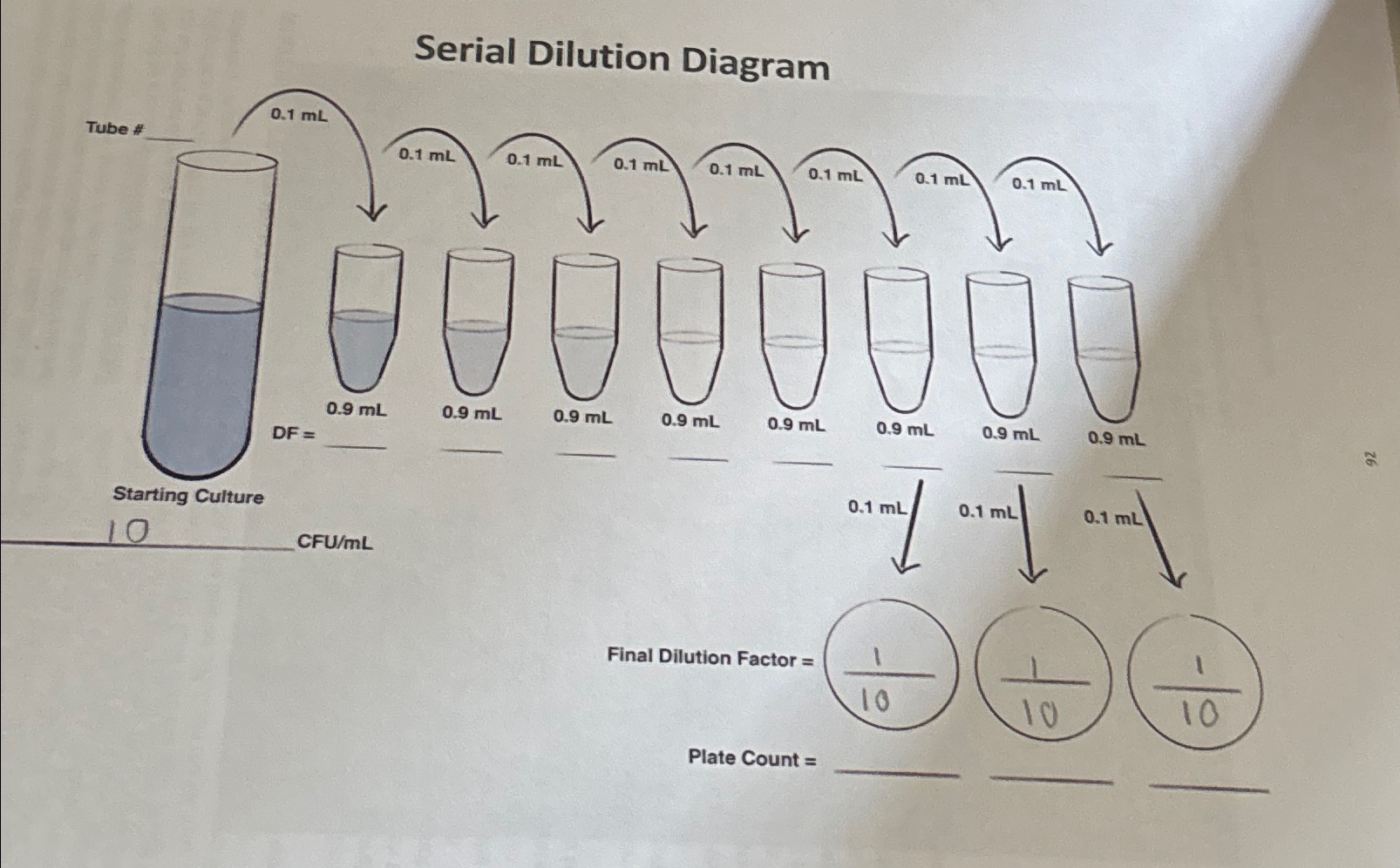 Solved Serial Dilution Diagram please fill in the blanks | Chegg.com