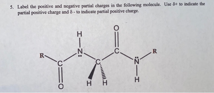 Solved 5. Label the positive and negative partial charges in | Chegg.com