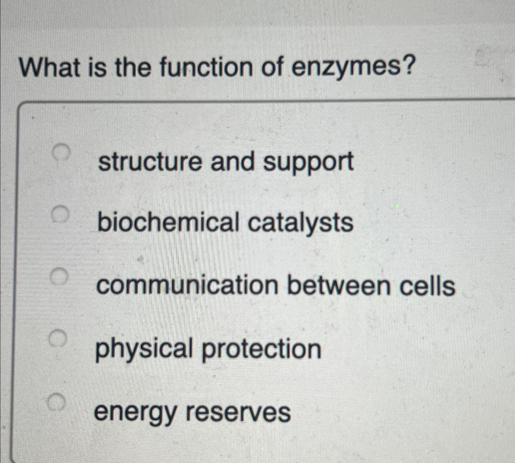 Solved What is the function of enzymes?structure and | Chegg.com
