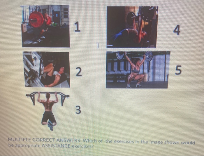 Solved 1 4 2 5 3 MULTIPLE CORRECT ANSWERS: Which of the | Chegg.com