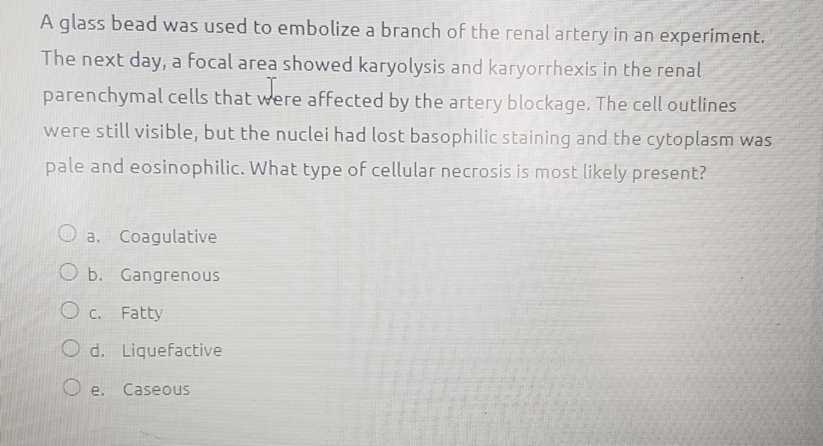 Solved A glass bead was used to embolize a branch of the | Chegg.com