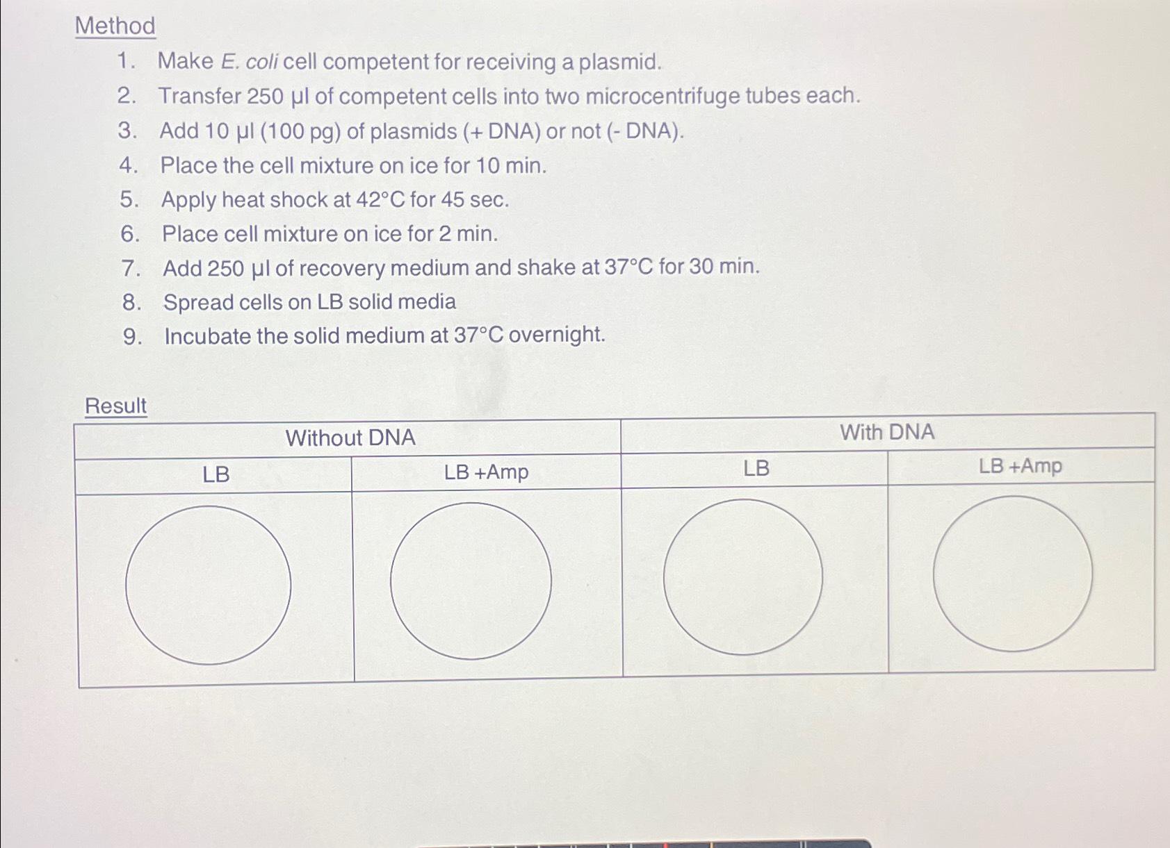 Solved MethodMake E. ﻿coli cell competent for receiving a | Chegg.com