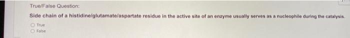 Solved True/False Question: Side chain of a | Chegg.com