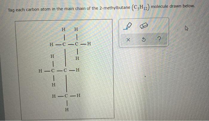 Solved Tag each carbon atom in the main chain of the | Chegg.com