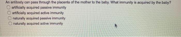 Solved An antibody can pass through the placenta of the | Chegg.com