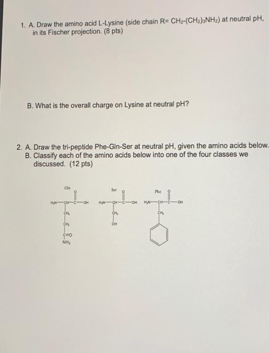Solved 1. A. Draw the amino acid L-Lysine (side chain | Chegg.com