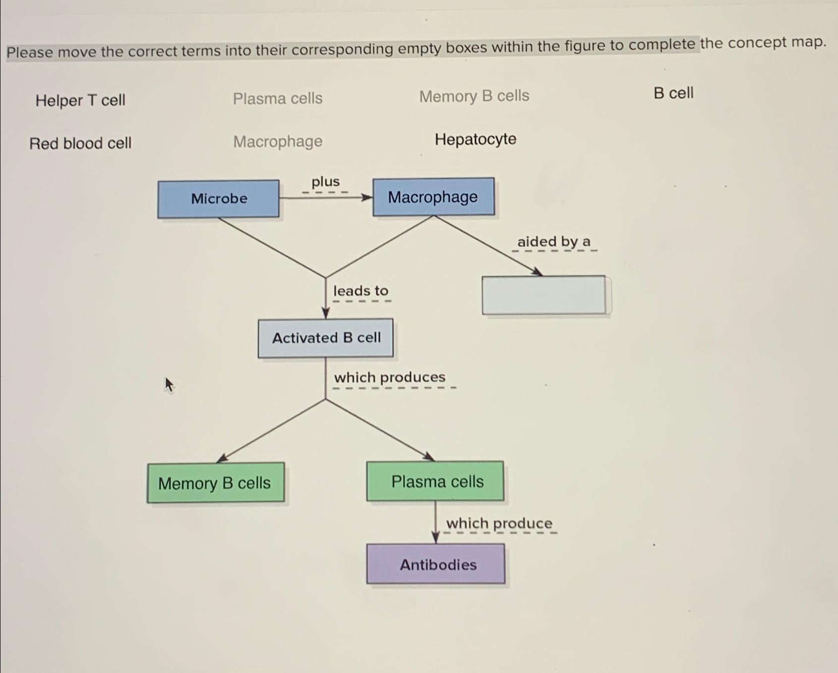 Solved Please move the correct terms into their | Chegg.com