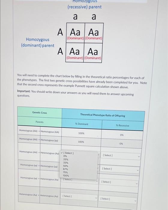Solved (recessive) parent a a A Aa Aa (Dominant) (Dominant) | Chegg.com