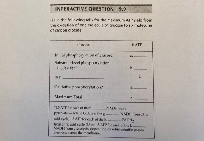 Solved INTERACTIVE QUESTION 9.9 Fill in the following tally | Chegg.com