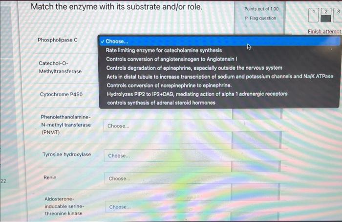 Solved Match the enzyme with its substrate and/or role. | Chegg.com