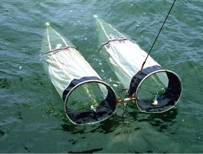 Solved Why use a zooplankton network for zooplankton | Chegg.com