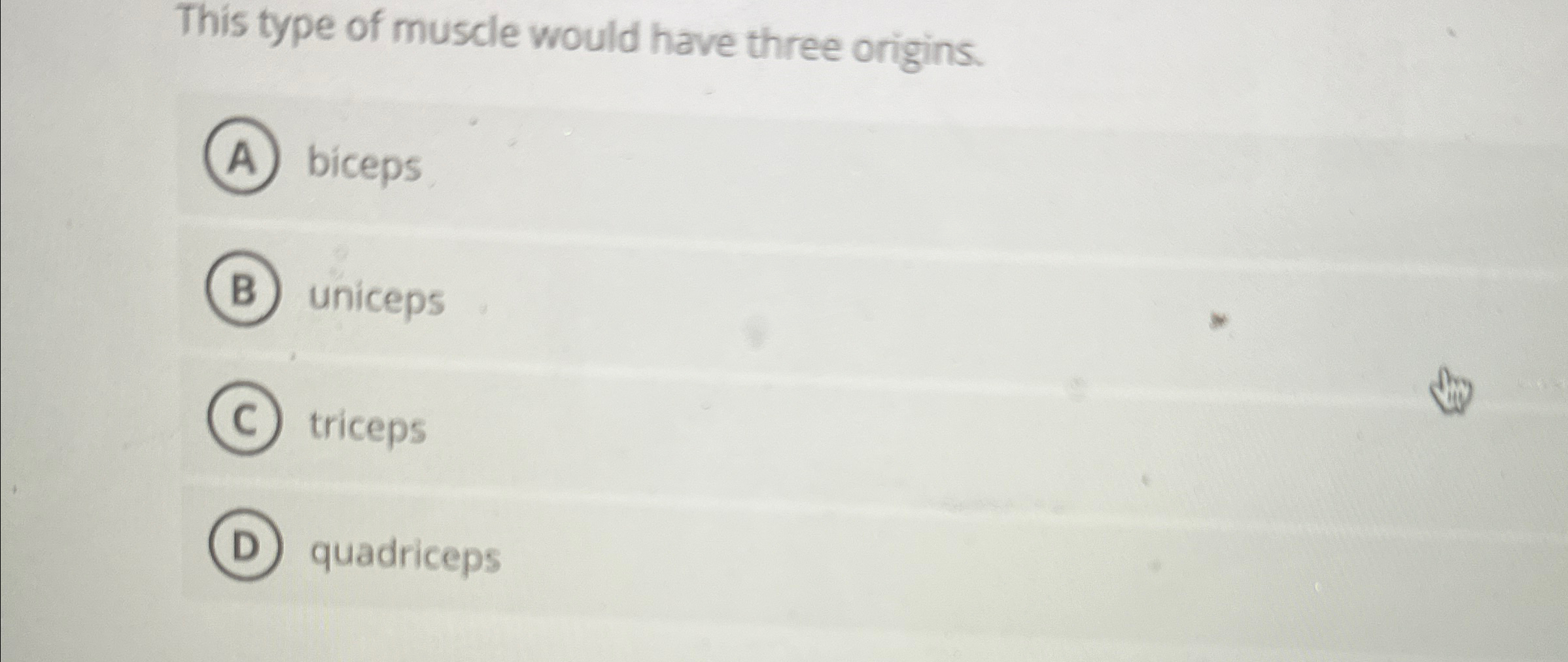 Solved This type of muscle would have three | Chegg.com