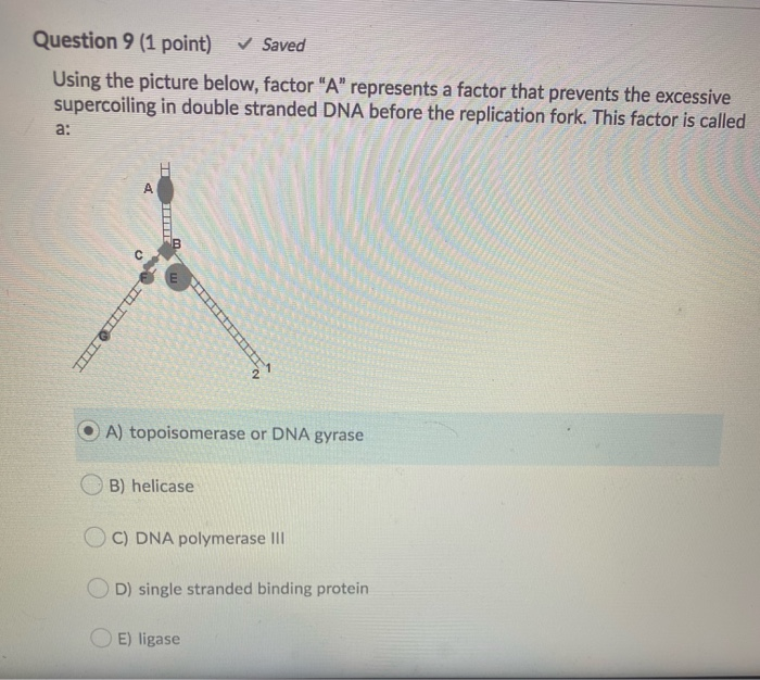Solved Question 9 (1 point) Saved Using the picture below, | Chegg.com