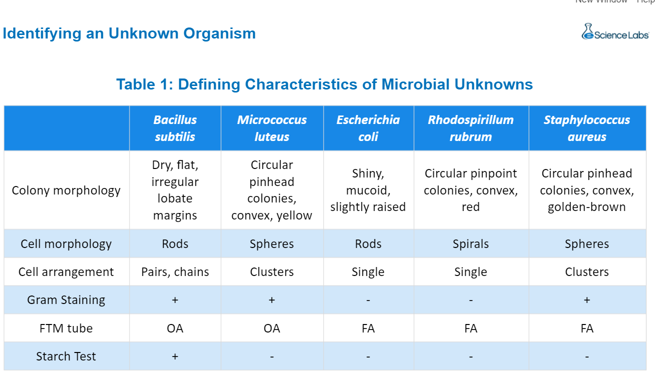 Solved create a dichotomous keyIdentifying an Unknown | Chegg.com