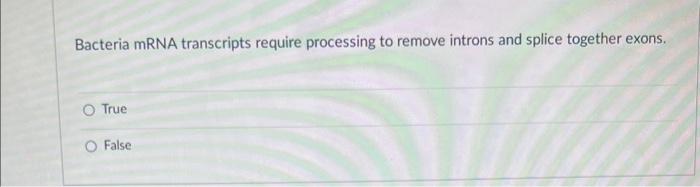 Solved Bacteria mRNA transcripts require processing to | Chegg.com