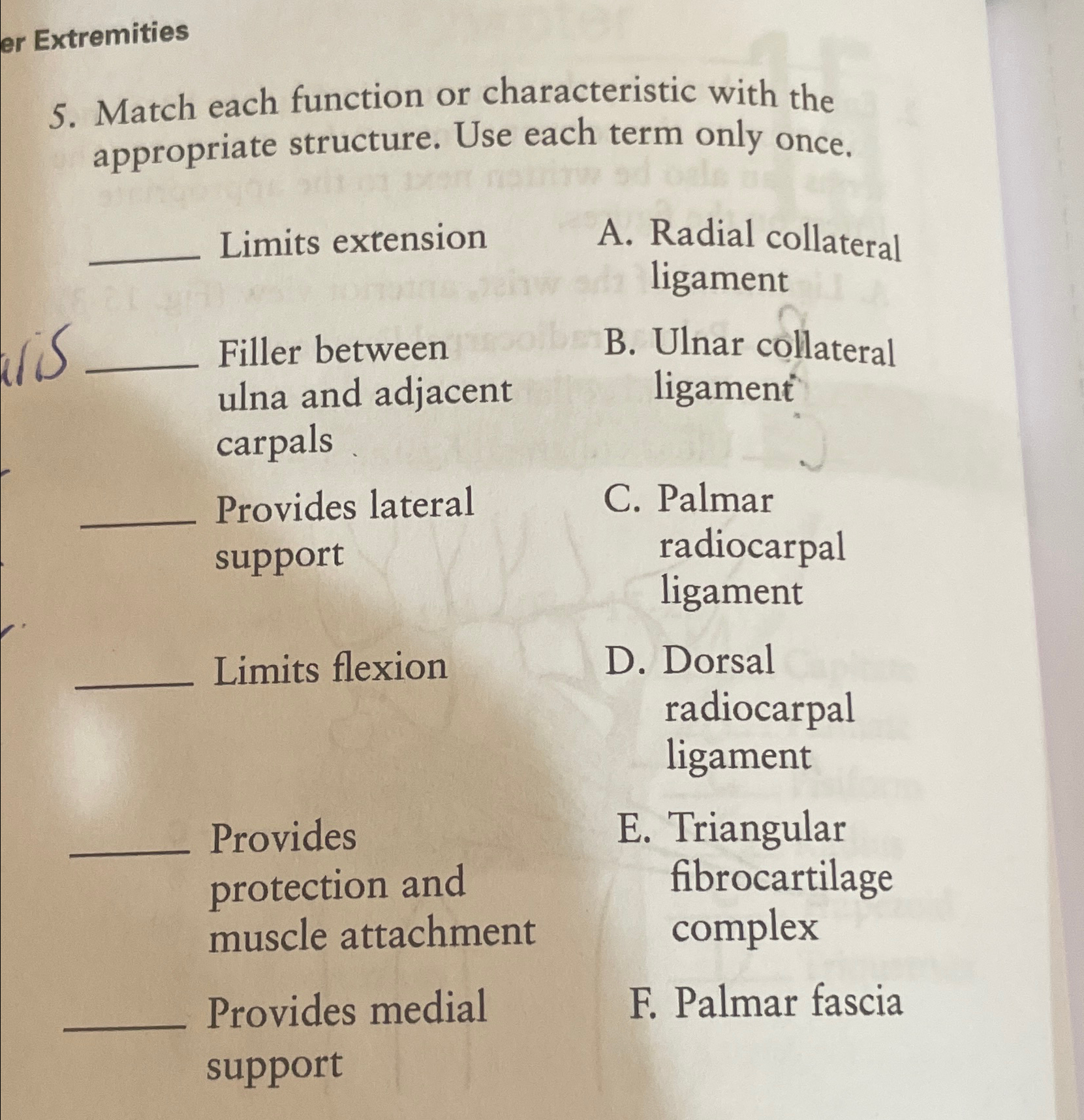 Solved Extremities5. ﻿Match each function or characteristic | Chegg.com