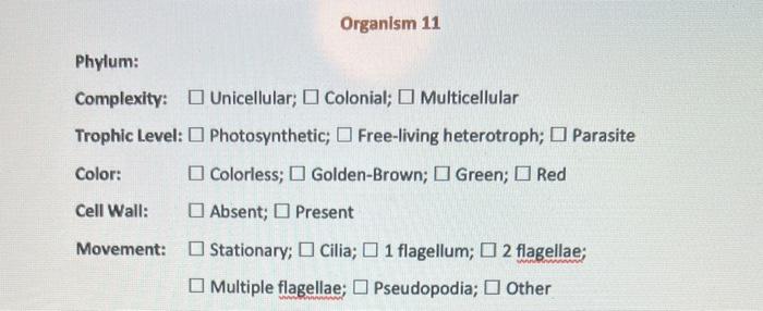 Solved organism 12 has two pictures & orgsnim 11 is the | Chegg.com
