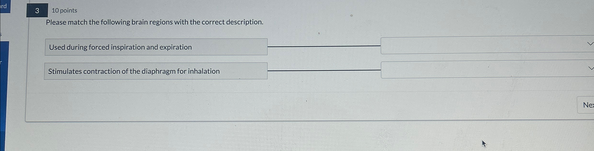 Solved 310 ﻿pointsPlease match the following brain regions | Chegg.com