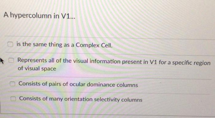 Solved A hypercolumn in V1... is the same thing as a Complex | Chegg.com