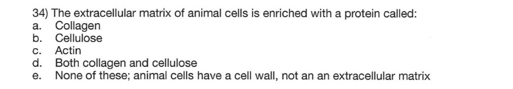 Solved The extracellular matrix of animal cells is enriched | Chegg.com