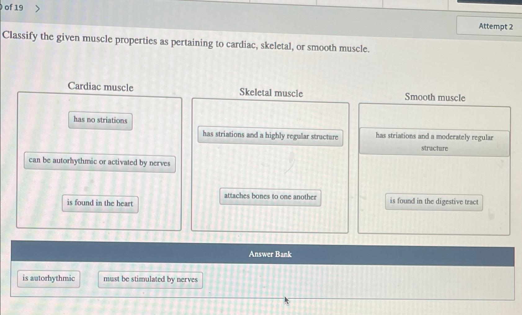 Solved of 19Classify the given muscle properties as | Chegg.com