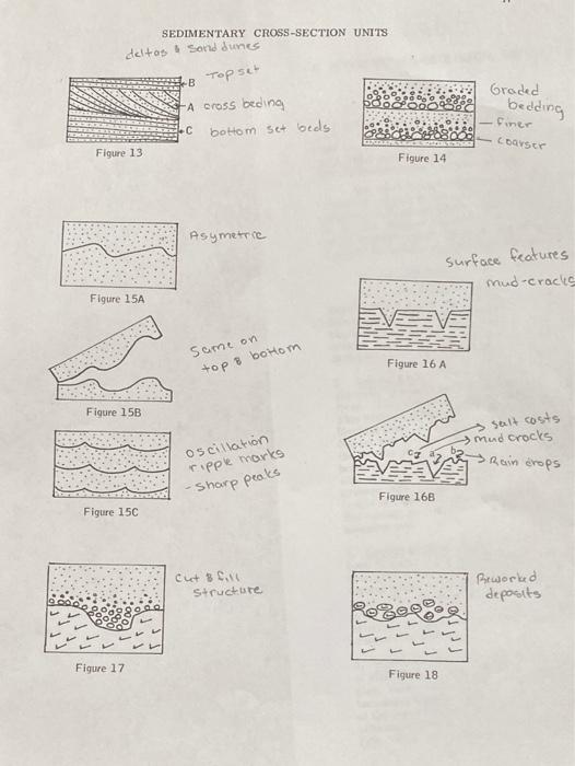 Solved 2. INTERPRETING GEOLOGICAL CROSS-SECTIONS A. | Chegg.com