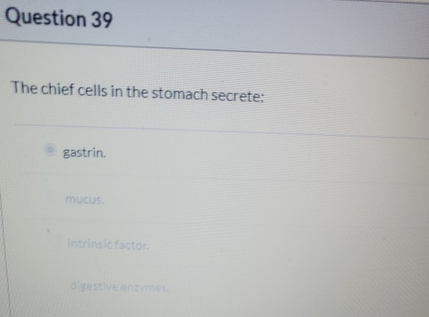 Solved Question 39 The chief cells in the stomach secrete: | Chegg.com