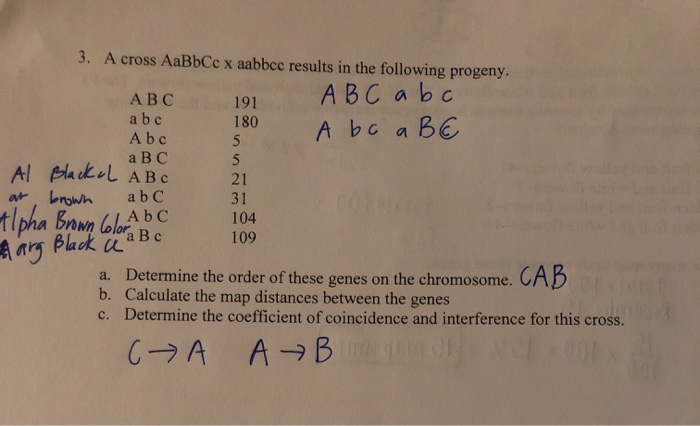Solved 180 3. A cross AaBbCc x aabbcc results in the | Chegg.com