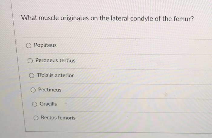 Solved What muscle originates on the lateral condyle of the | Chegg.com