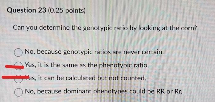 Solved Can you determine the genotypic ratio by looking at | Chegg.com